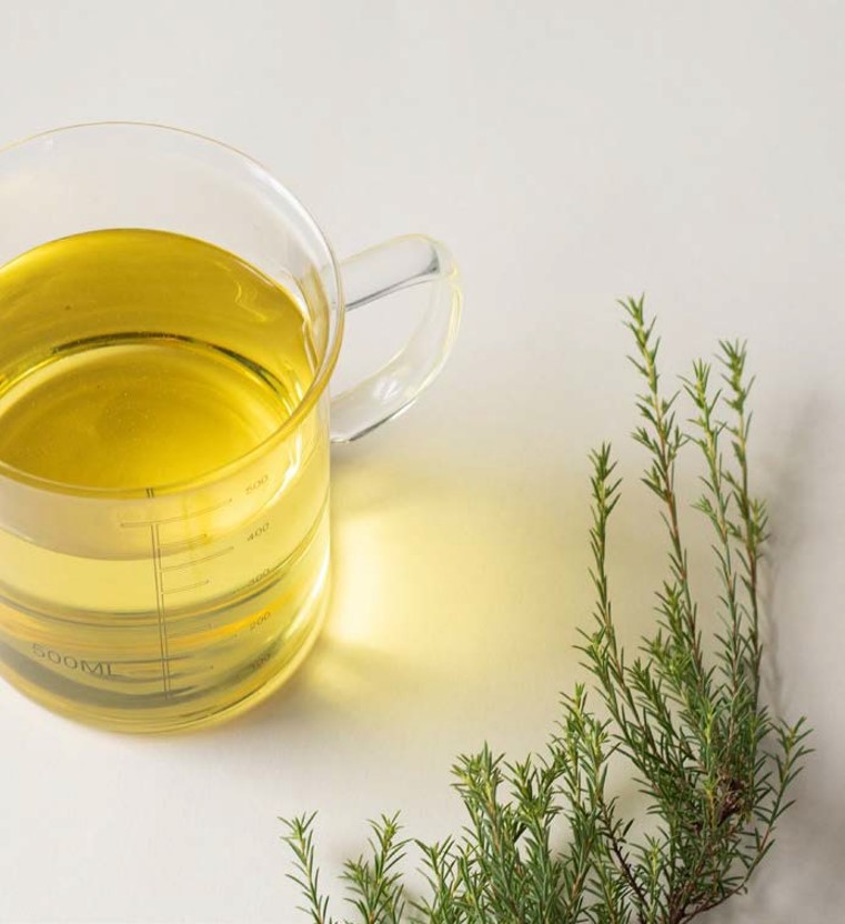 Manuka Oil MBTK™ 20+ | Sustainably sourced Manuka oil